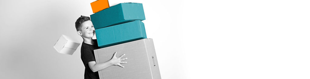 microtech-warenwirtschaft-color | Rinke IT-Service